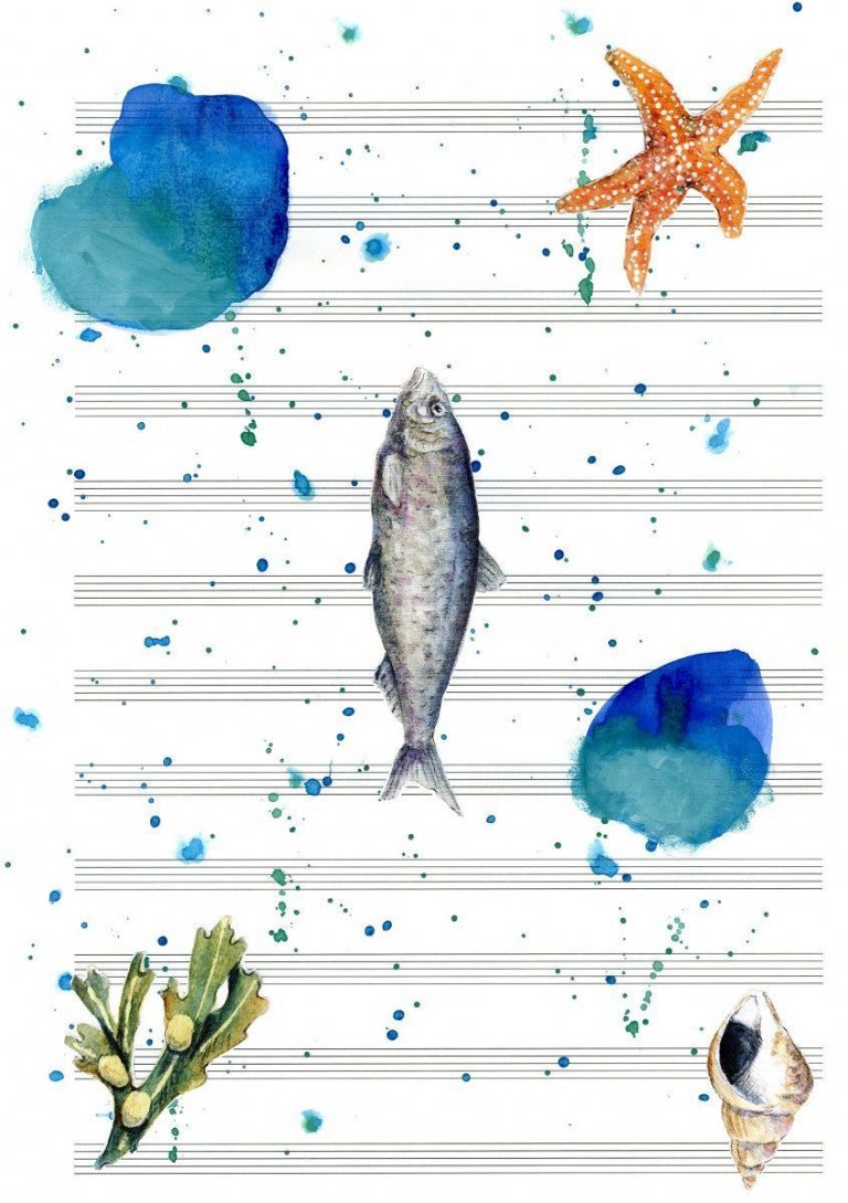 Λίγα λόγια για μας… | The Singing Fish